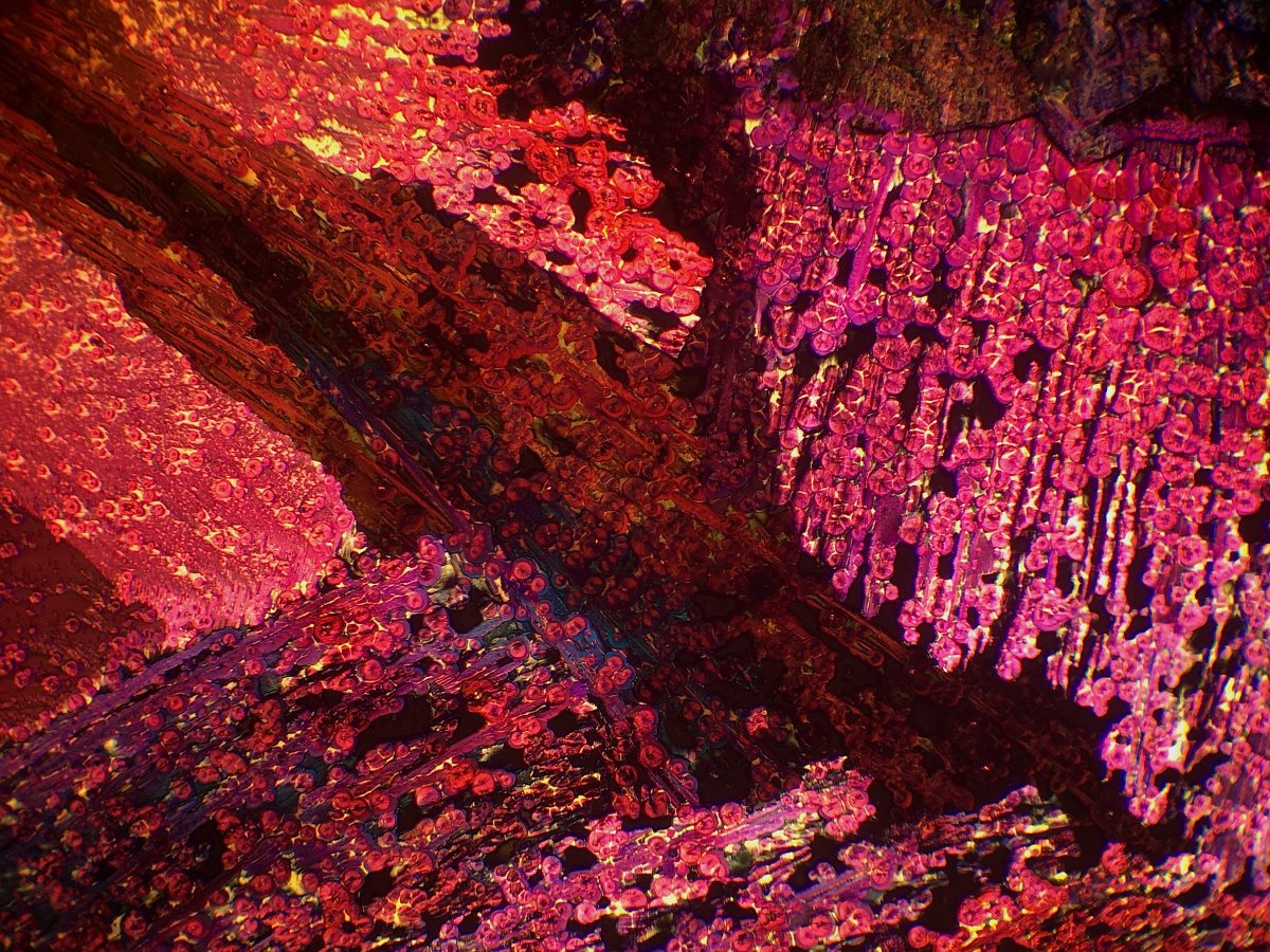 MIMA — Liquid Crystal Display